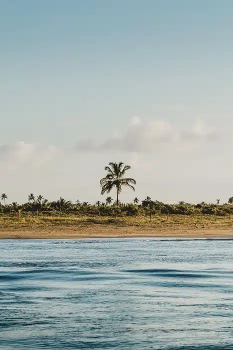 Las mejores playas de Senegal en 2026